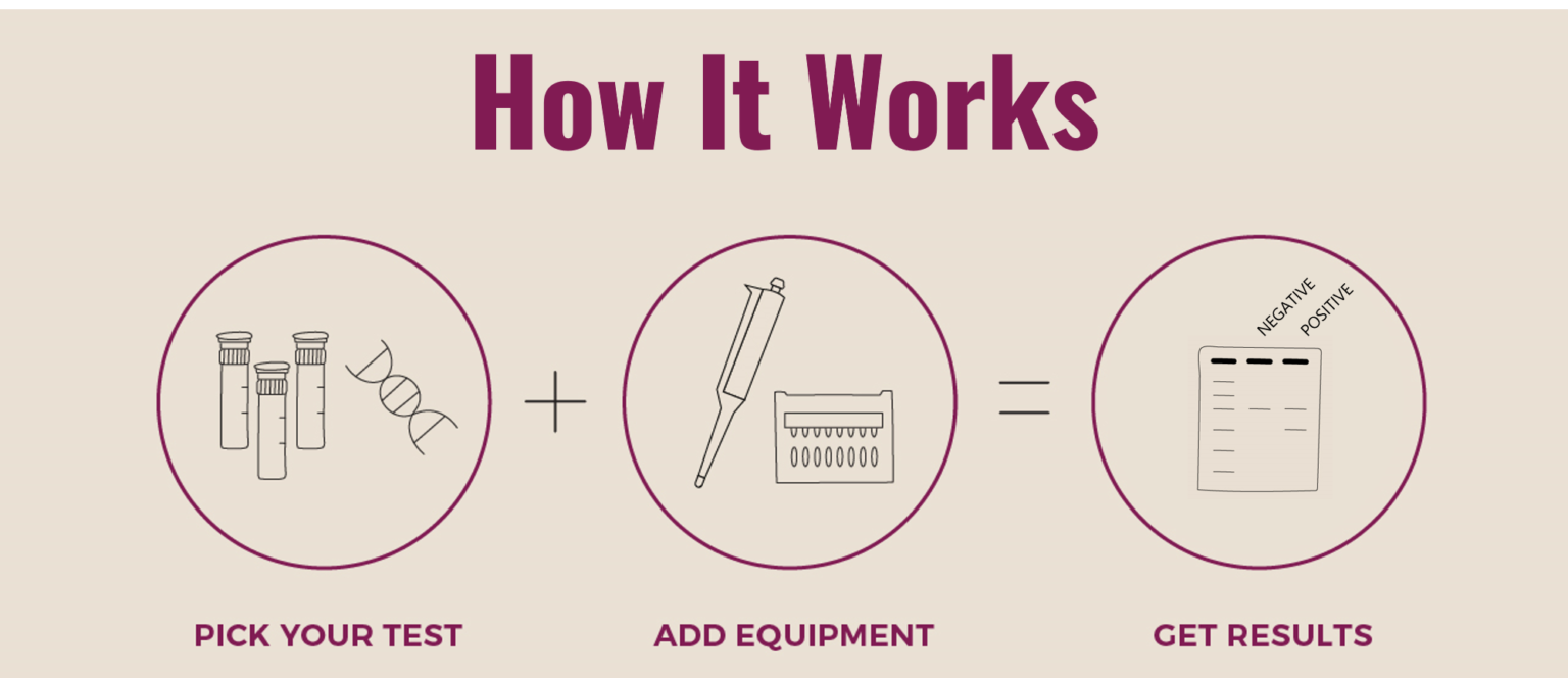 ZeeWee I Bird DNA Sex Test – miniPCR Dx