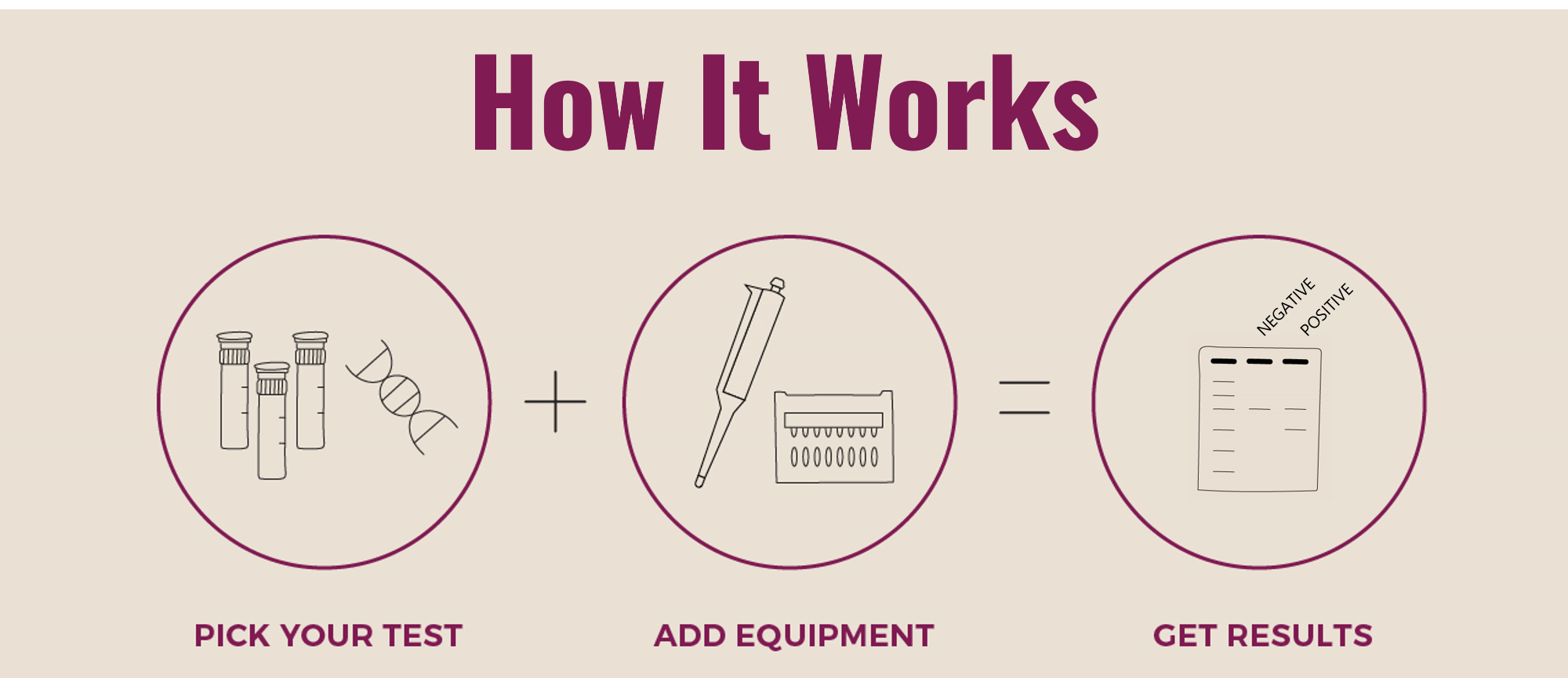 Recessive White Chicken DNA Test – miniPCR Dx