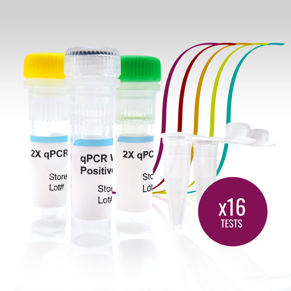 qPCR Validation Test 1 – miniPCR Dx